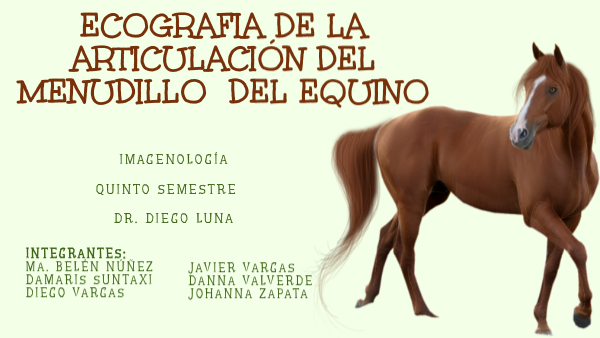 PRESENTACIÓN MENUDILLO