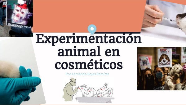 Experimentación animal en cosméticos | Genially