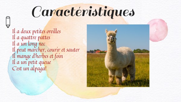 Mon animal préféré