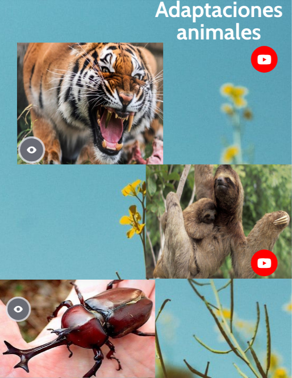 Adaptaciones animales | Genially