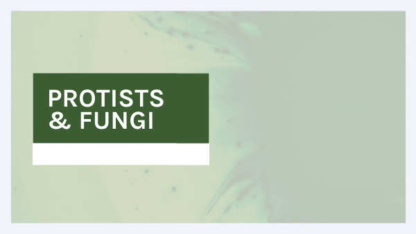 Ch. 19 Protists & Ch. 20 Fungi | Genially