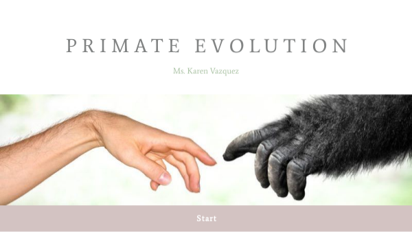 Primate Evolution