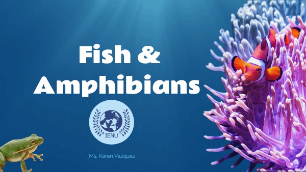 Ch. 28 Fishes & Amphibians