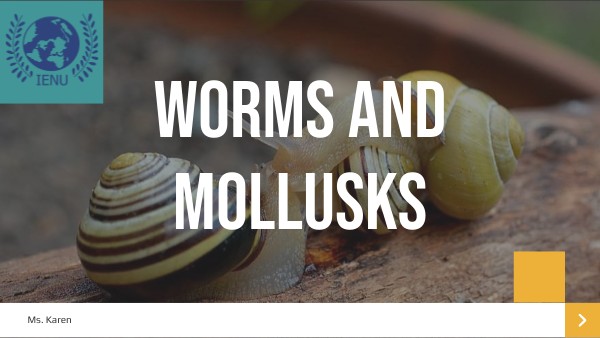 Worms and Mollusks | Genially