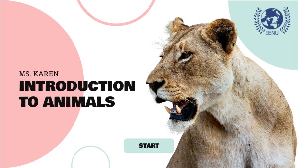 Ch.24 Introduction to Animals