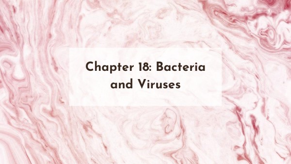 Chapter 18: Bacteria and Viruses