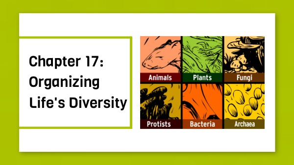 Chapter 17: Organizing Life's Diversity | Genially