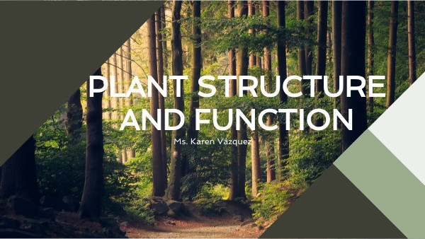 Ch. 22 Plant structure and function. | Genially
