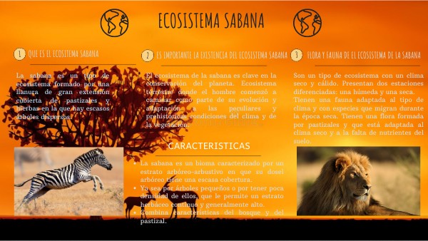 ECOSISTEMA SABANA