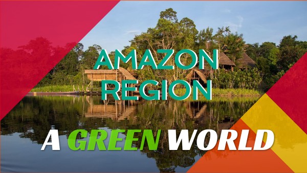 ABP (quimestral) inglés - Amazon region