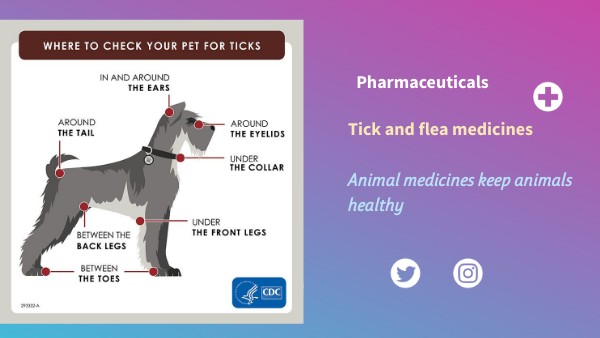 Tick and flea medicines | Genially
