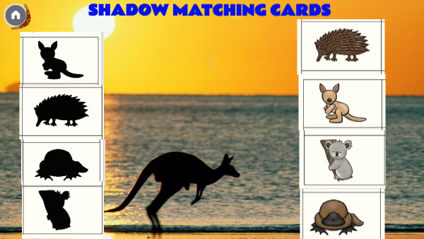 SHADOW/MATCHING CARDS copia | Genially