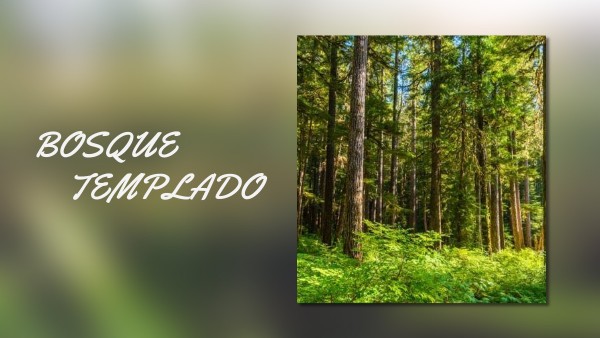 bosque templado | Genially