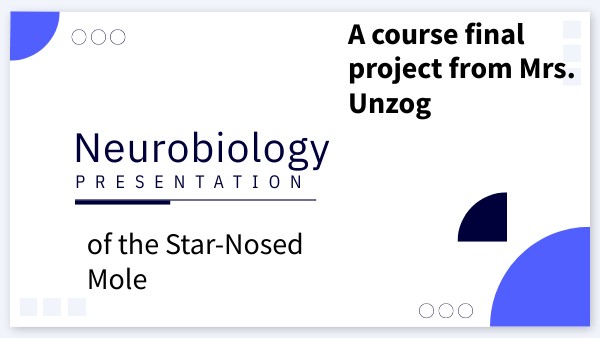 Final Project | Genially