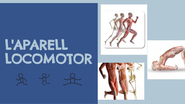 L'APARELL LOCOMOTOR | Genially