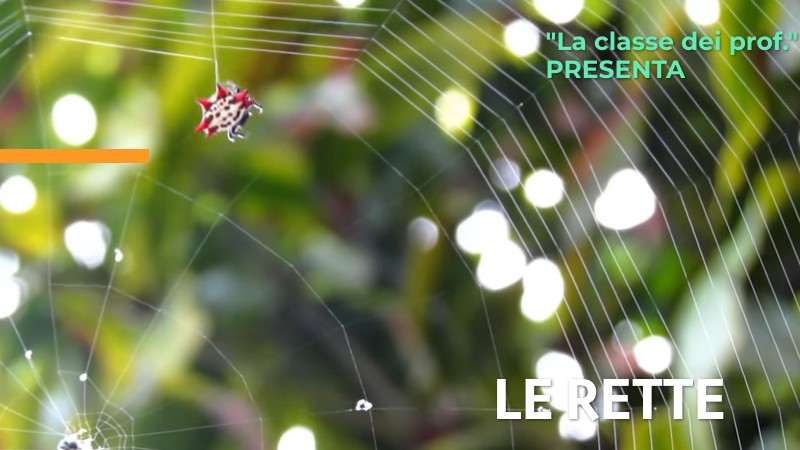 LE RETTE (PRIMO ANNO) | Genially