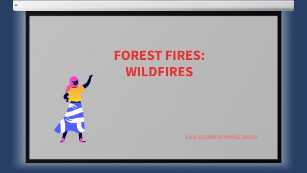 FOREST FIRES