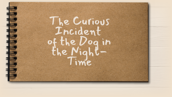 LLCE Cultural Diary Book Presentation