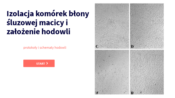 Protokół do in vitro BT 2022 | Genially