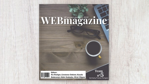 VE project portfolio