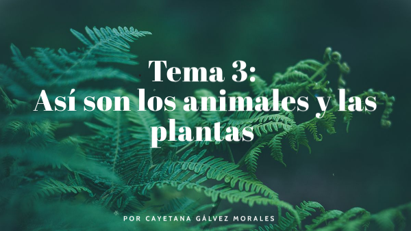 Tema 3: Así son los animales y las plantas | Genially