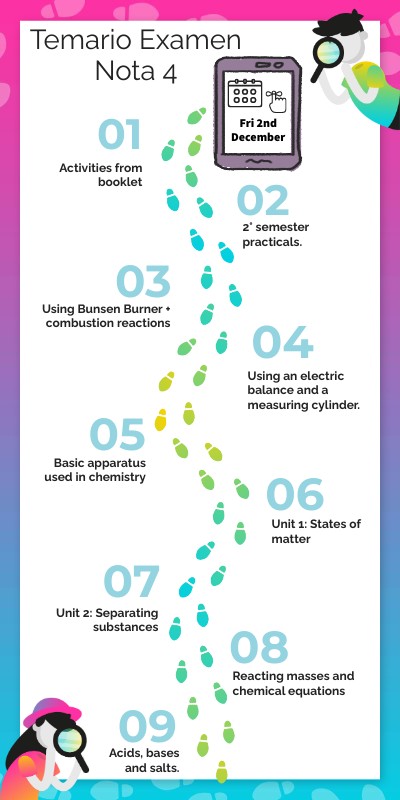 Temario Nota 4 - 7° básico