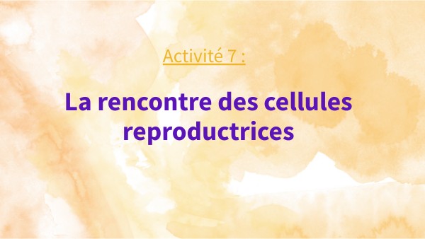 Activité 7 : La rencontre des cellules reproductrices | Genially