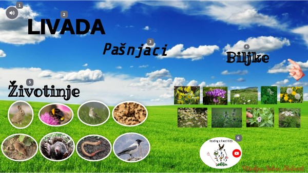 Životna zajednica LIVADA | Genially