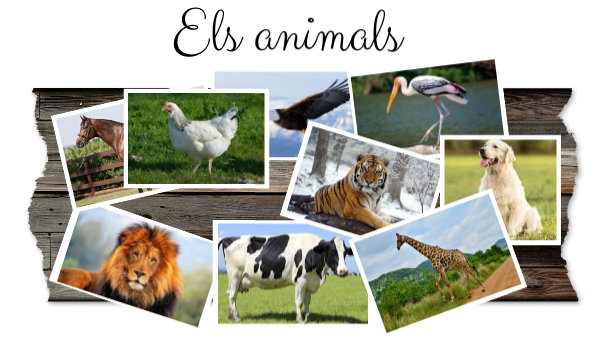 Els animals