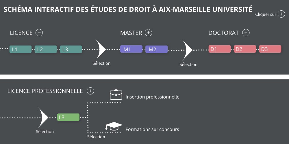 Orientation Schéma des études de Droit - AMU - V2 | Genially