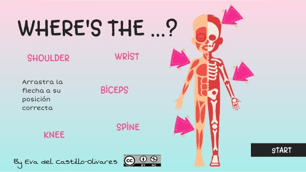 Parts of the body GAME | Genially