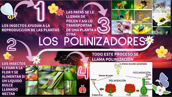 LOS POLINIZADORES | Genially