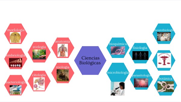 Mapa Mental ciencias | Genially