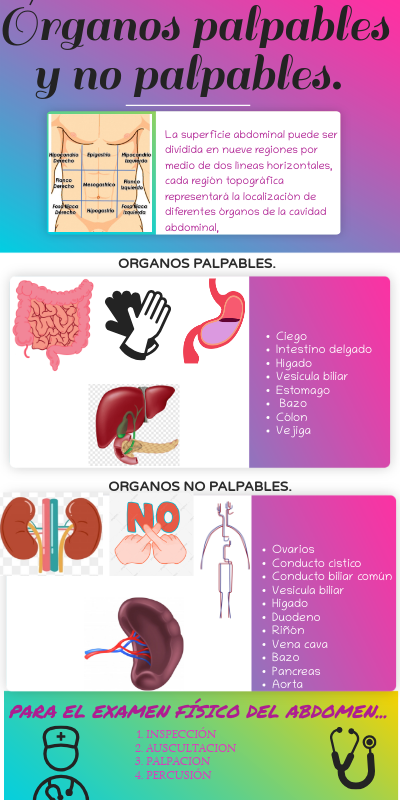 ORGANOS PALPABLES. | Genially