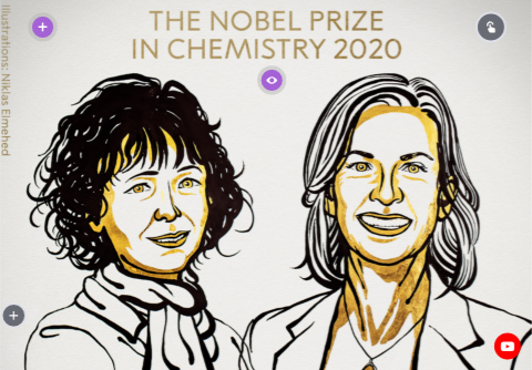 Kimika nobel saria | Genially