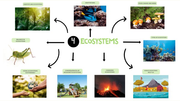 NS4Prim_U4_Ecosystems