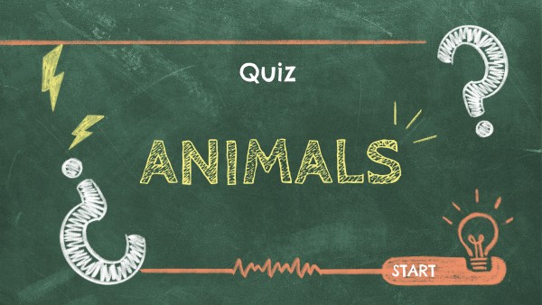 QUIZ ANIMALS | Genially