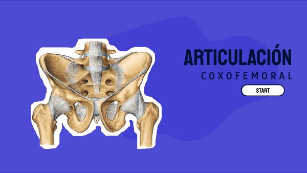 MULTI-PATHS DESKTOP PRESENTATION