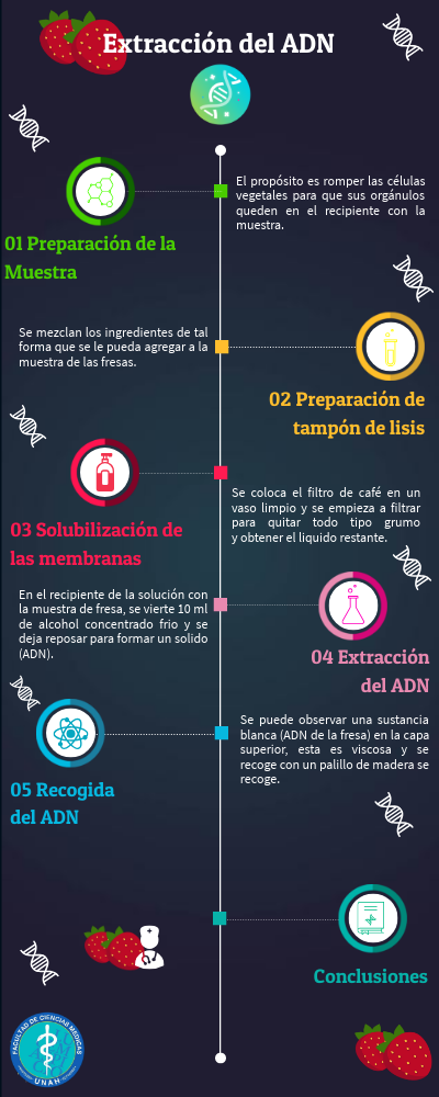 Extracción del ADN | Genially