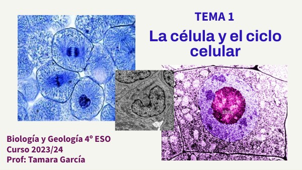 Tema 1. La célula y el ciclo celular | Genially