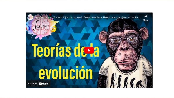 Evolución | Genially