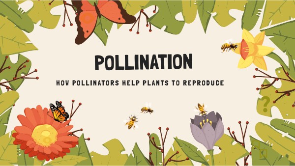 POLLINATION | Genially