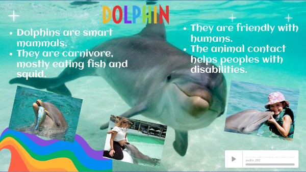 DOLPHIN