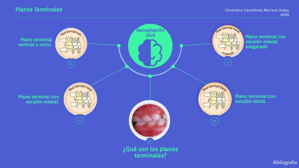 Planos Terminales | Genially