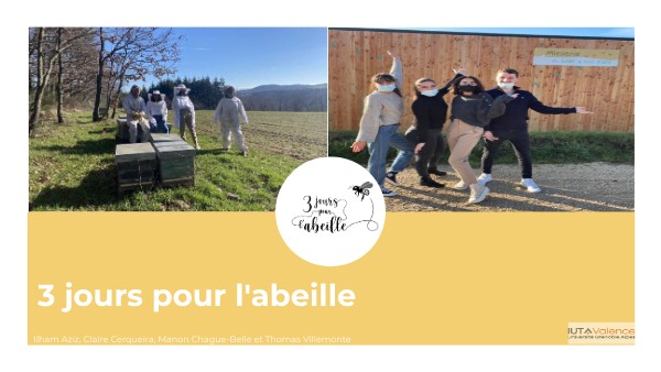 DIAPO ABEILLES | Genially