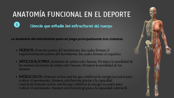 ANATOMÍA | Genially