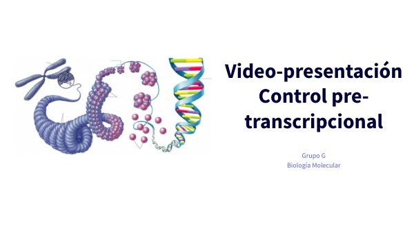 Control Pre-Transcripcional | Genially