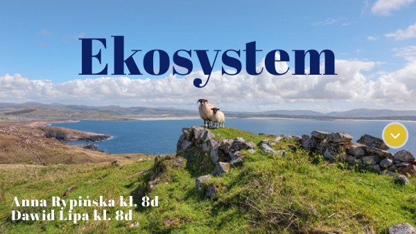Ekosystem