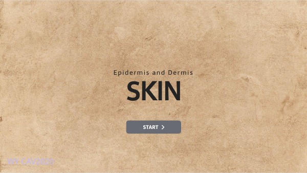 SKIN V1 | Genially