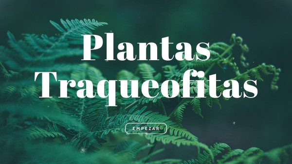 PRESENTACIÓN PLANTAS TRAQUEOFITAS | Genially